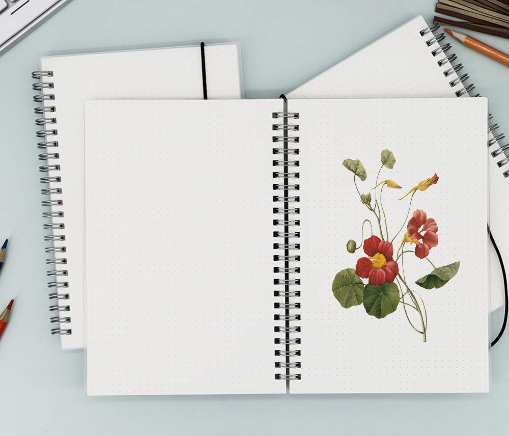 Zegrox 5 Pack Transparent Hardcover Dot Grid Notebook/Bullet journaling,Writing Diary Subject Notebooks,80 Sheets (160Pages)-8.35x 5.75inch,A5 Size.