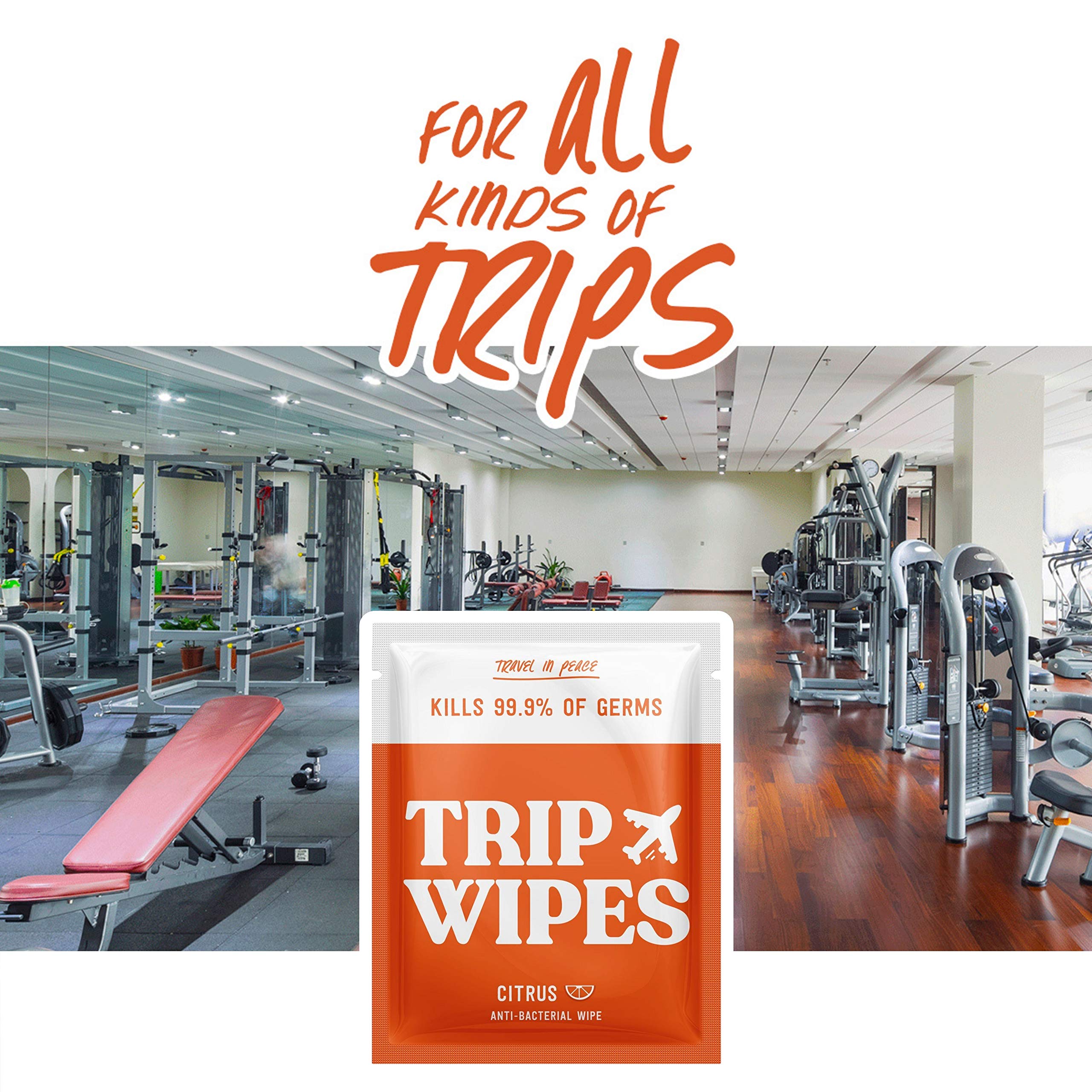 TRIP WIPES - Alcohol-Free Hand Sanitizing Antibacterial Hand Wipes For Planes, Trains, and Handshakes, 30 Count Pack Retail Display Box - (Citrus)