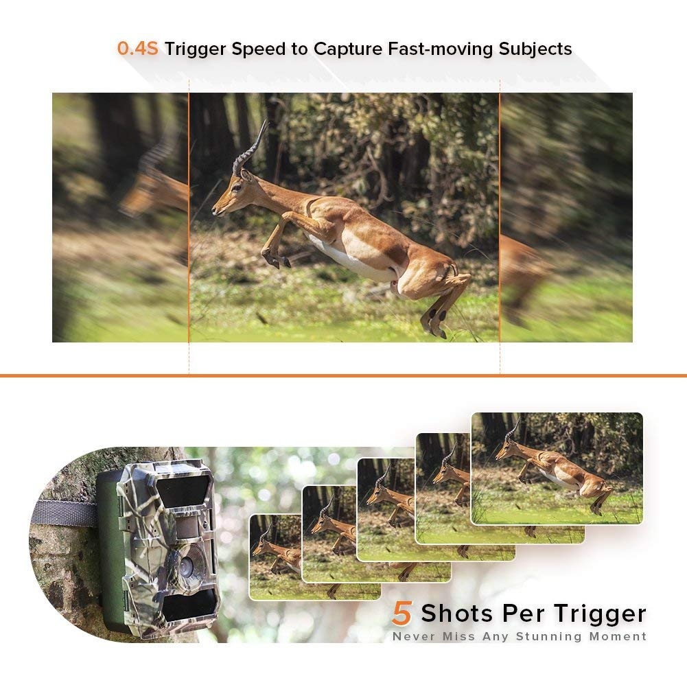 WingHome Trail Camera 350C+ 12V 2A DC Power Supply