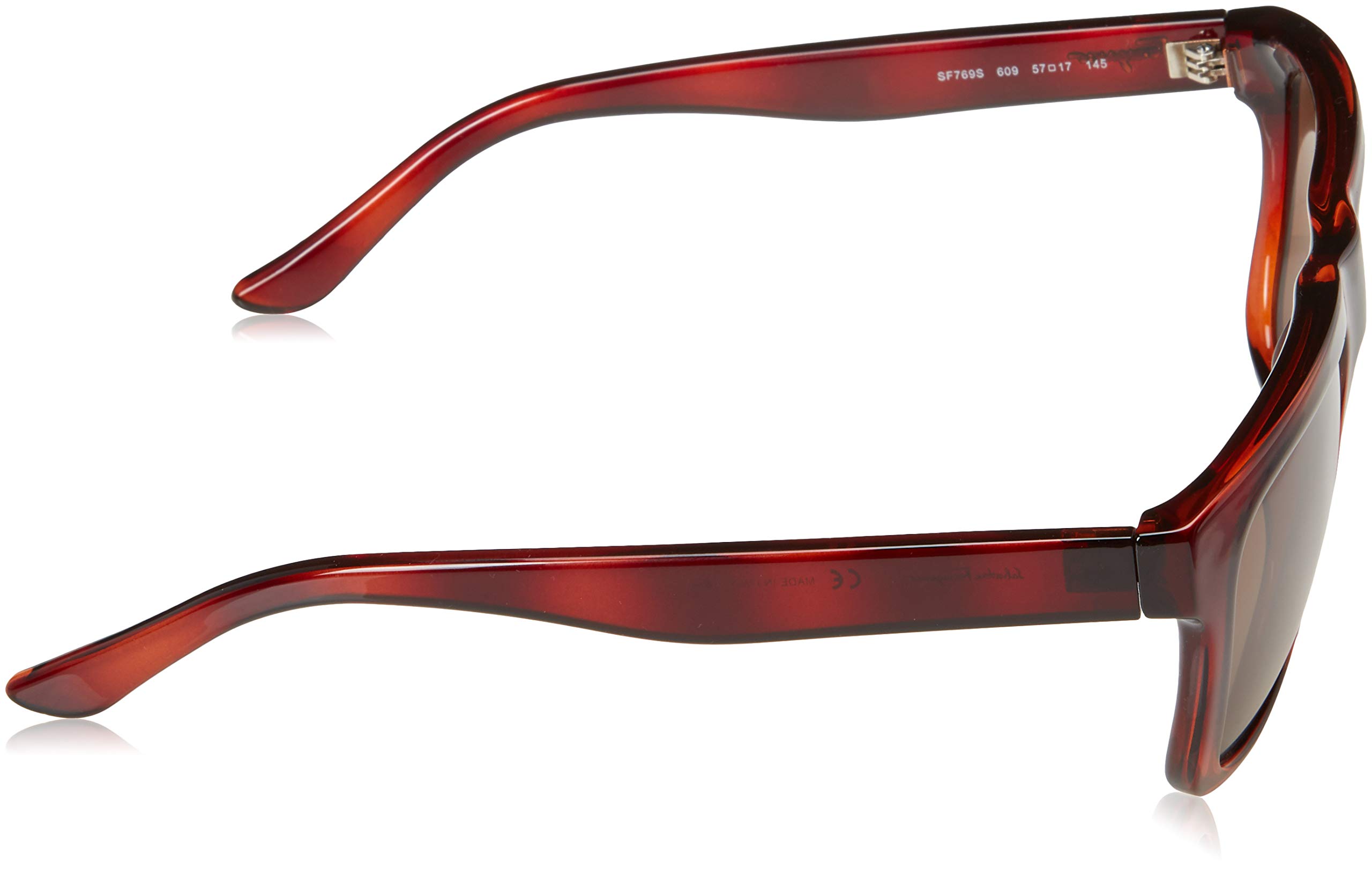 Salvatore Ferragamo Salvatore Ferragamo Women's Sunglasses Sf769s, Brown, 57