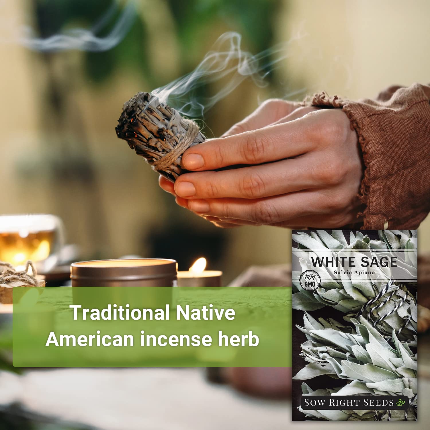Sow Right Seeds - White Sage Seed for Planting - Non-GMO Heirloom Packet with Instructions for Planting and Growing a Home Herb Garden - Indoors or Outdoors - Make Your Own Herbal Incense (2)