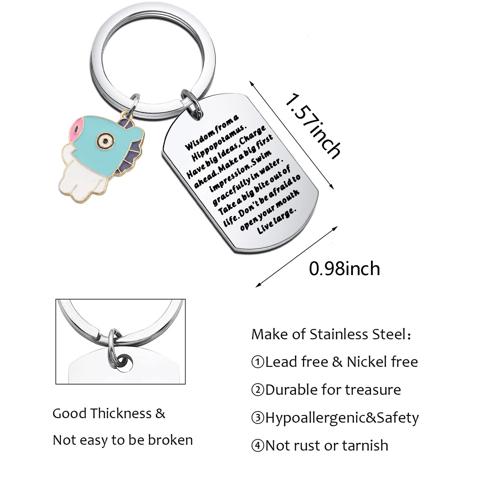 WSNANG Hippo Theme Gift Wisdom From A Hippopotamus Keychain Hippo Lover Gift Hippo Jewelry Gift (Wisdom Hippo KC)