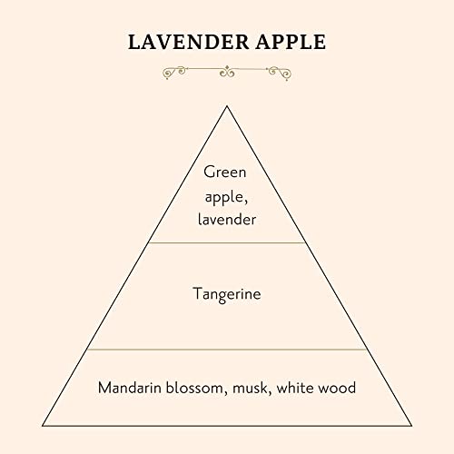 Sabon Body Scrub — Lavender Apple | Exfoliating Dead Sea Salt Body Scrub | Lavender, Apple | For All Skin Types | 11.3 Oz