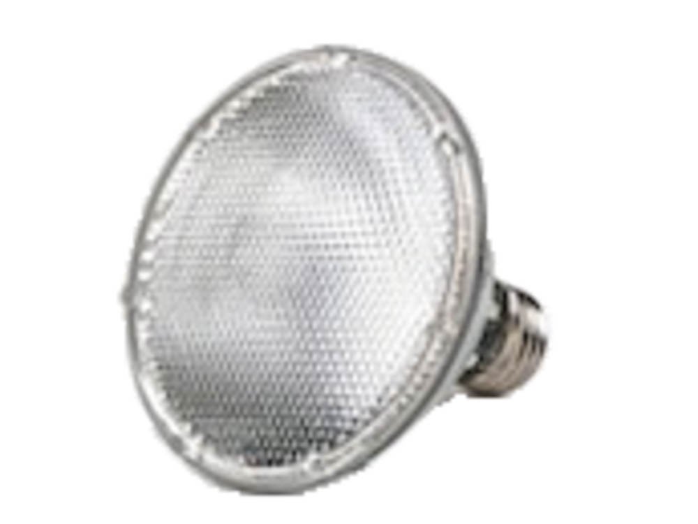 PHILIPS 53W 120V PAR30 Halogen Narrow Flood Bulb
