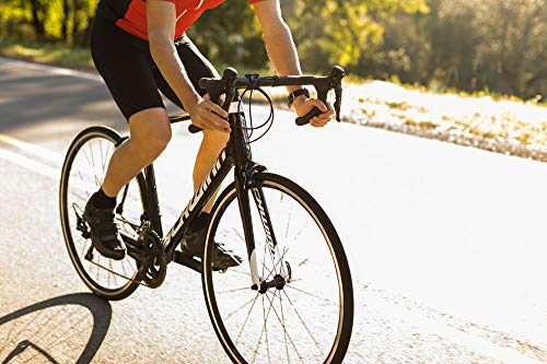 Schwinn Fastback Carbon Road Bike, Fastback Carbon 105, 48cm/Small Frame , Matte Black