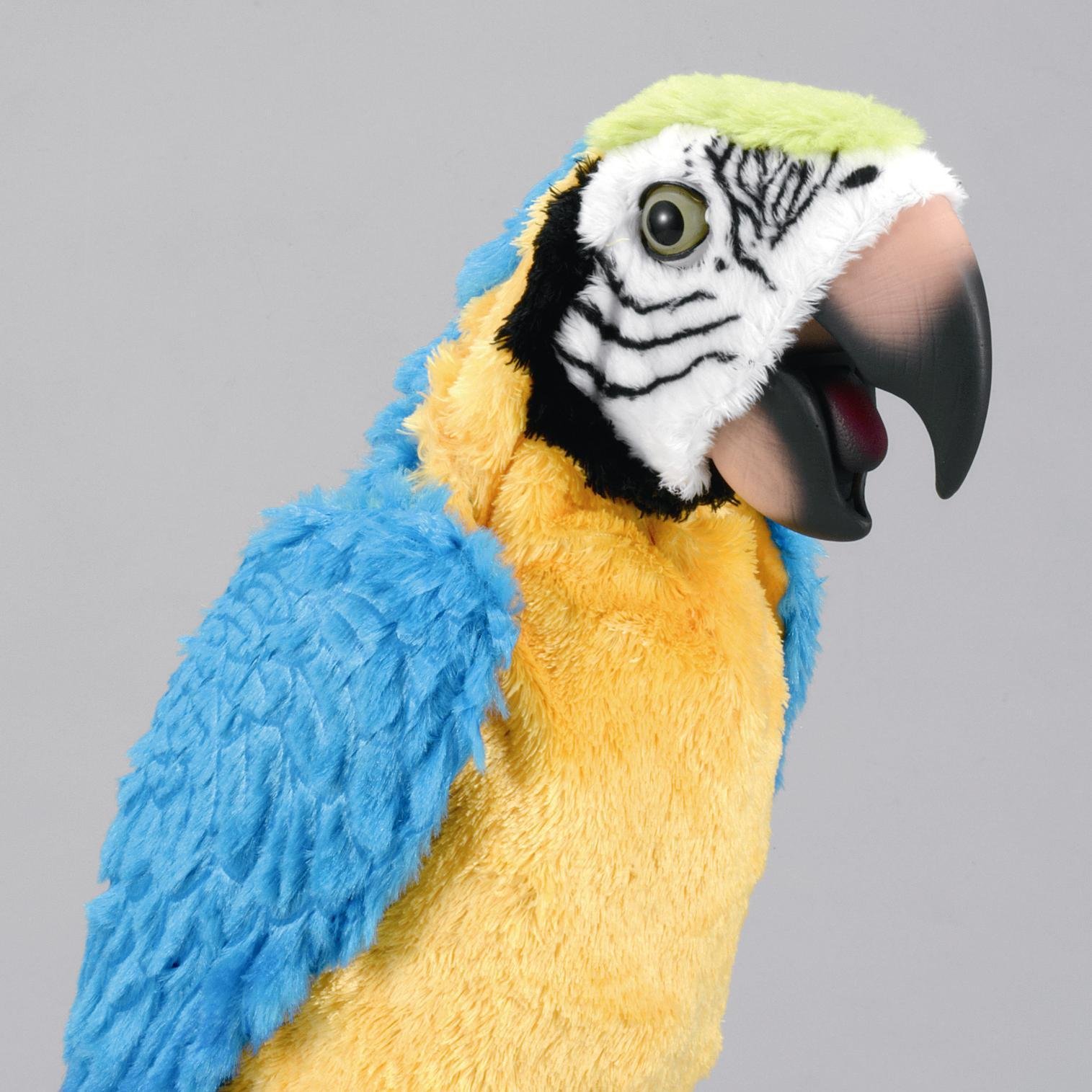 SEGA TOYS Dream Parrot (Japan Import)