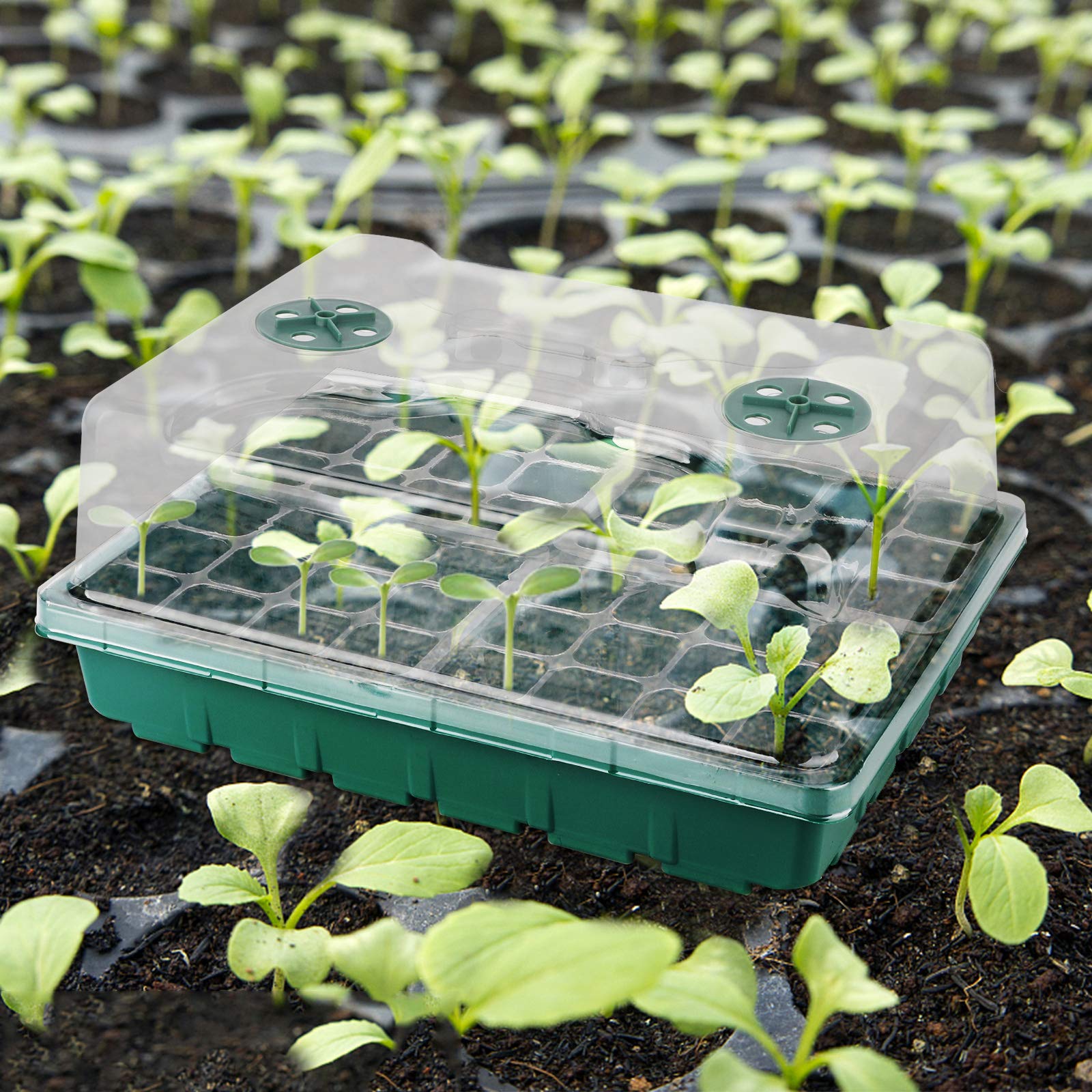 QCUTEP Seed Starting Tray 48 Cells Insert Hot House Seed Starter Trays Kit Garden Large Seedling Tray with Humidity Dome and Base Tray for Seed Starting, Germination and Seedling Propagation