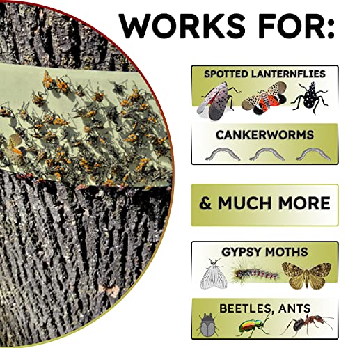W4W, Spotted Lantern Fly Tree Trap - 4 Rolls (30 Feet Each Roll) - Lanternfly Tree Tape Creates a Sticky Barrier Protecting Trees from Harmful Insects - Non-Toxic