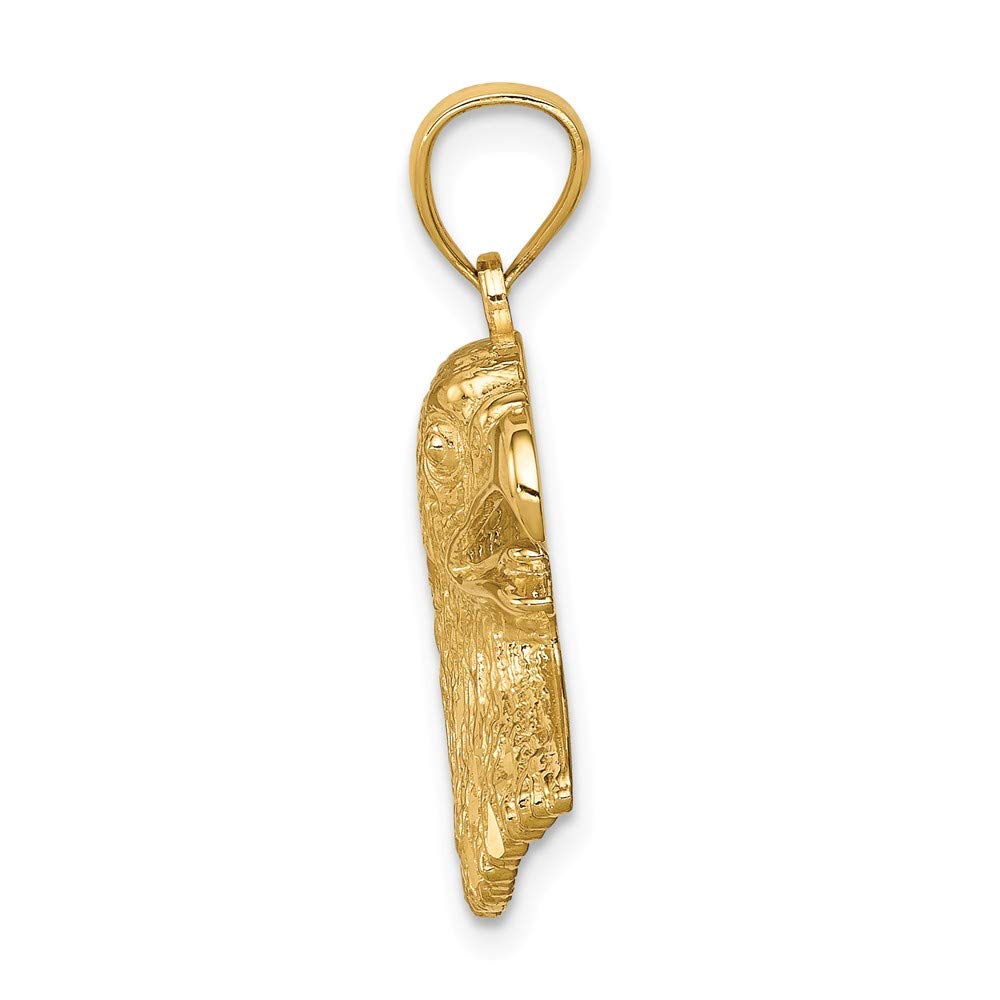 Solid 14k Yellow Gold Diamond-Cut Eagle Pendant Charm