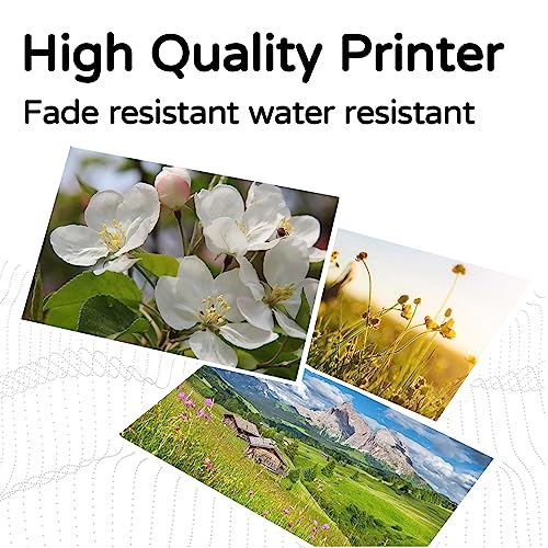 RIOMAN Toner Cartridge Compatible Replacement for Konica Minolta TN324 to Use with Bizhub C258 C308 C368 Toner Printer Combo Pack