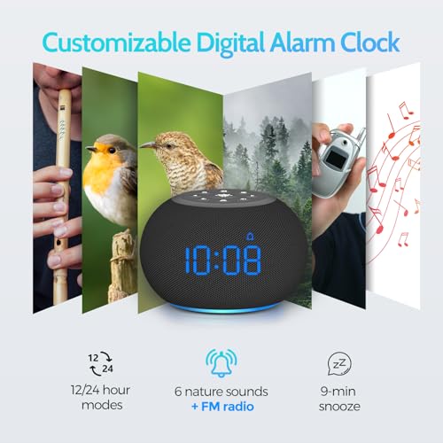 REACHER Digital Alarm Clock Bluetooth Speaker with FM Radio, Auto-Dimmable, 7 Wake Up Sounds, Gradient Light, 30-Level Volume, Memory Function, Bedroom/Office Clock Radio for Kids Adults Seniors