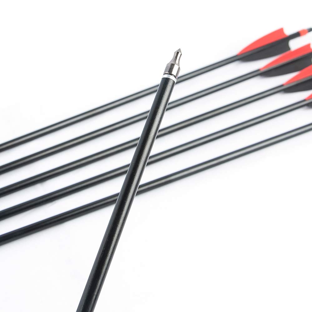 TOPOINT ARCHERY 30inch 8mm Fiberglass Hunting Practice Arrows with Replaceable Arrowhead Spine 500 for Recure and Compound Bow Target (Pack of 12) (2 Black 1 red vanes)