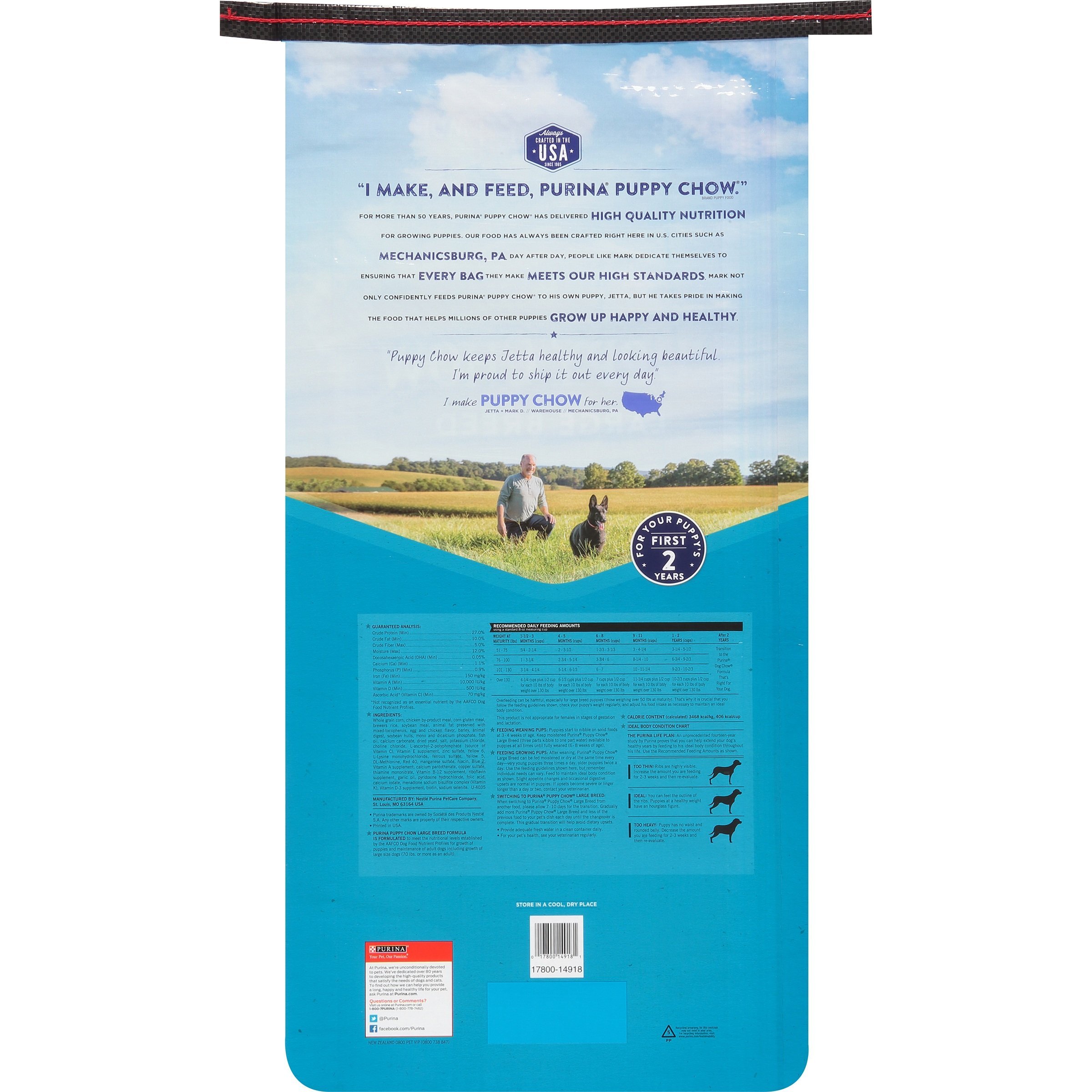 Purina 178116 Puppy Chow Large Breed, 32-Pound