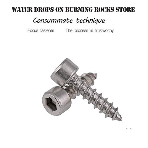 Screw 20pcs M512/14/16/20/25/30/35/40 Stainless Steel 304 hex Socket Cap Head self Tapping Screw - (Size: M5, Length: 30mm)