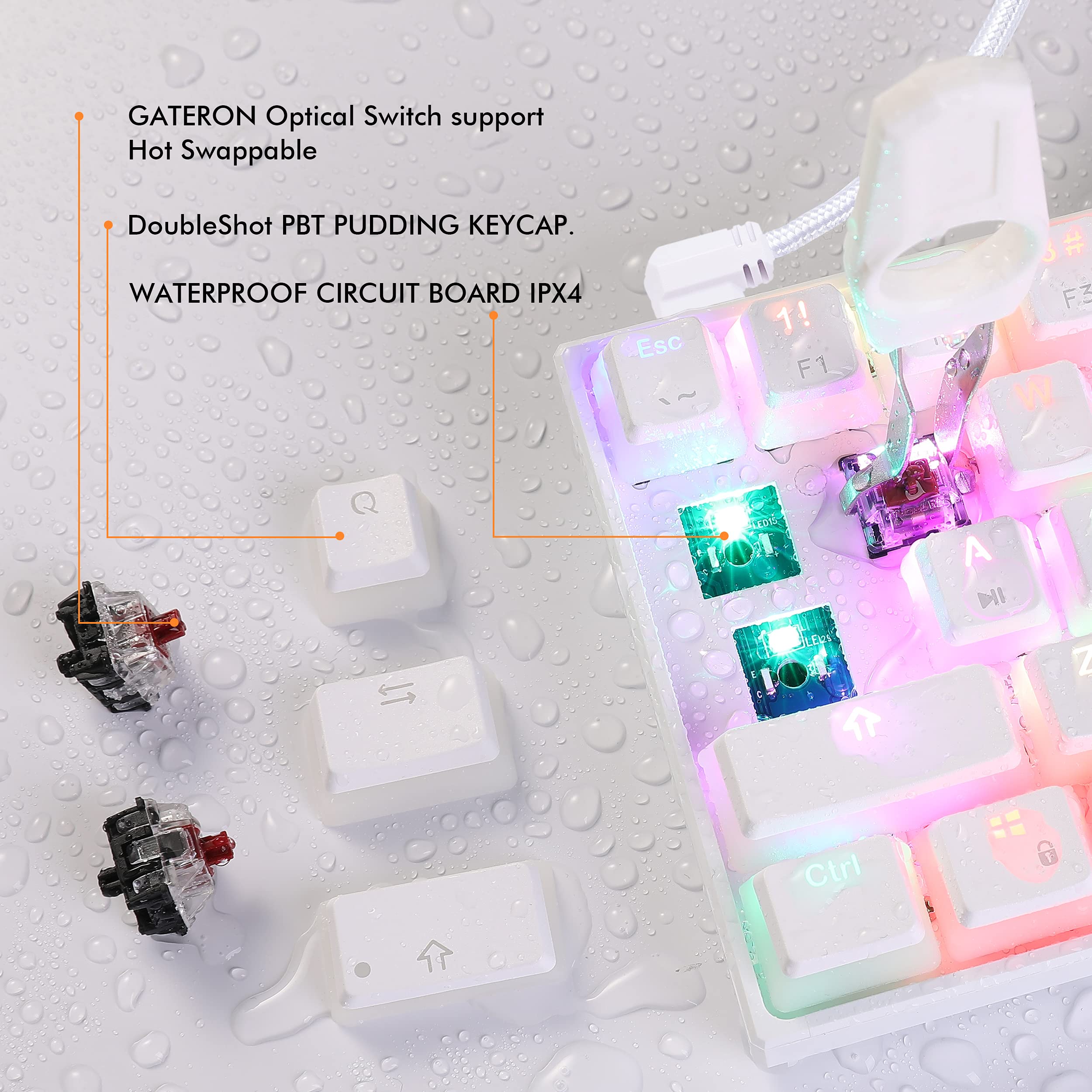 Ractous RTK61 60% Mechanical Gaming Keyboard RGB Backlit PBT Pudding keycaps 61key Ultra-Compact Wired Keyboard Programmable for PC/Mac Gamers,Hot-Swappable Gateron Optical Brown Switch (White)