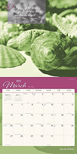 Seaside Solitude 2022 12 x 12 Inch Monthly Square Wall Calendar by Brush Dance, Nature Inspiration Seashore