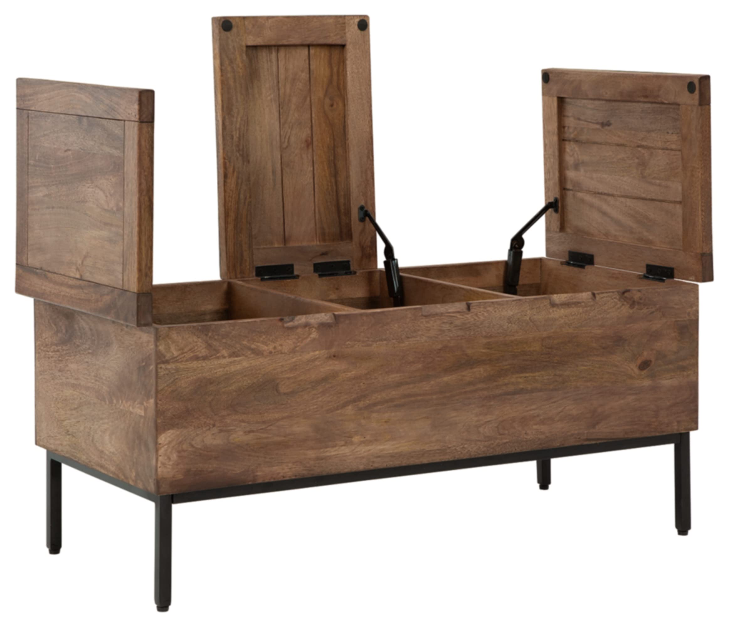 Signature Design by Ashley Braddick Trunk, Light Brown and Black