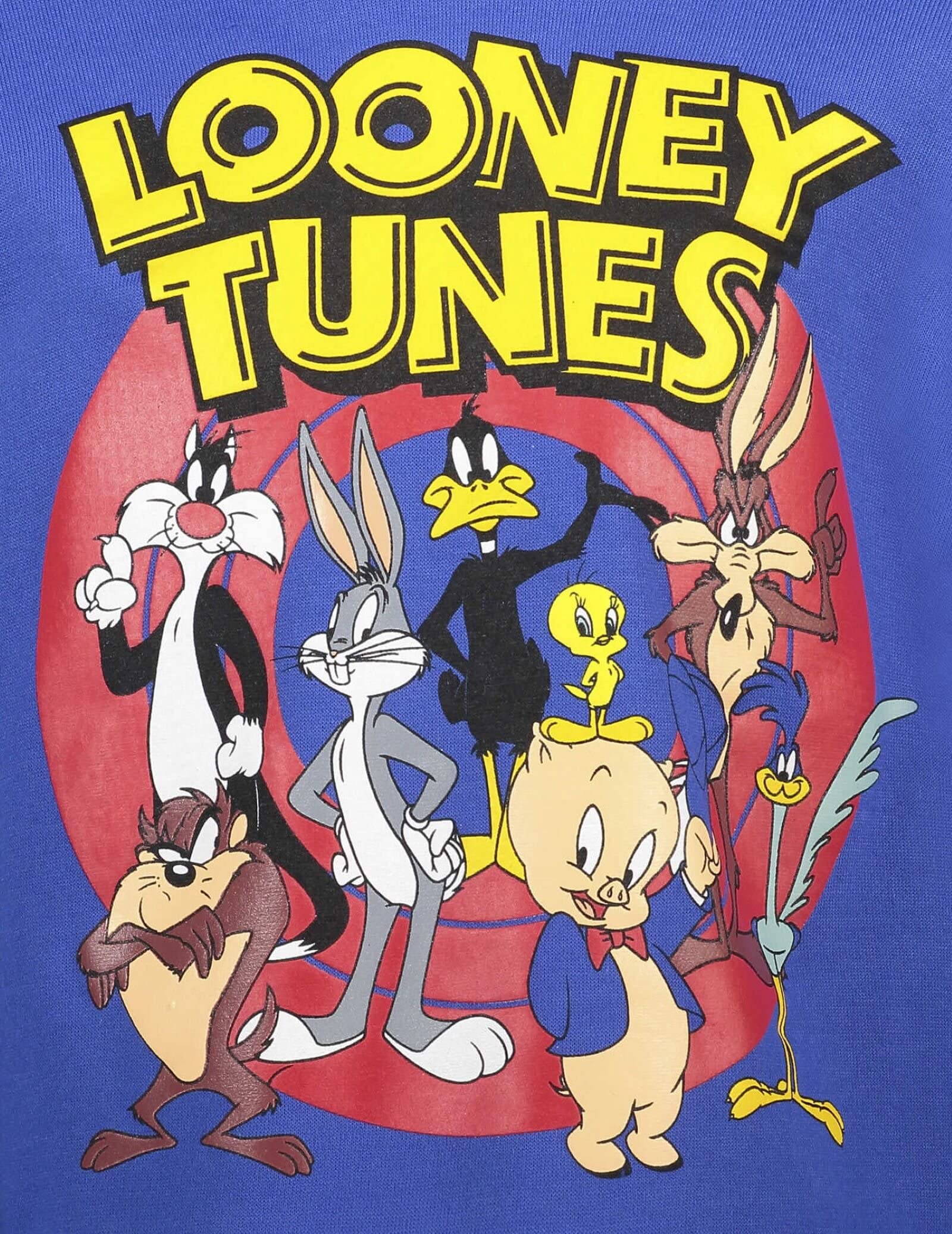 Warner Bros. Looney Tunes Daffy Duck Tasmanian Devil Bugs Bunny Big Boys Fleece Pullover Hoodie Blue 18-20