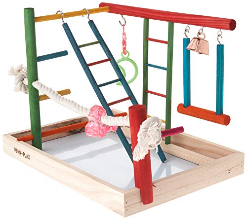 Penn-Plax Bird Life Wooden Playpen – Perfect for Cockatiels and Conures – Large