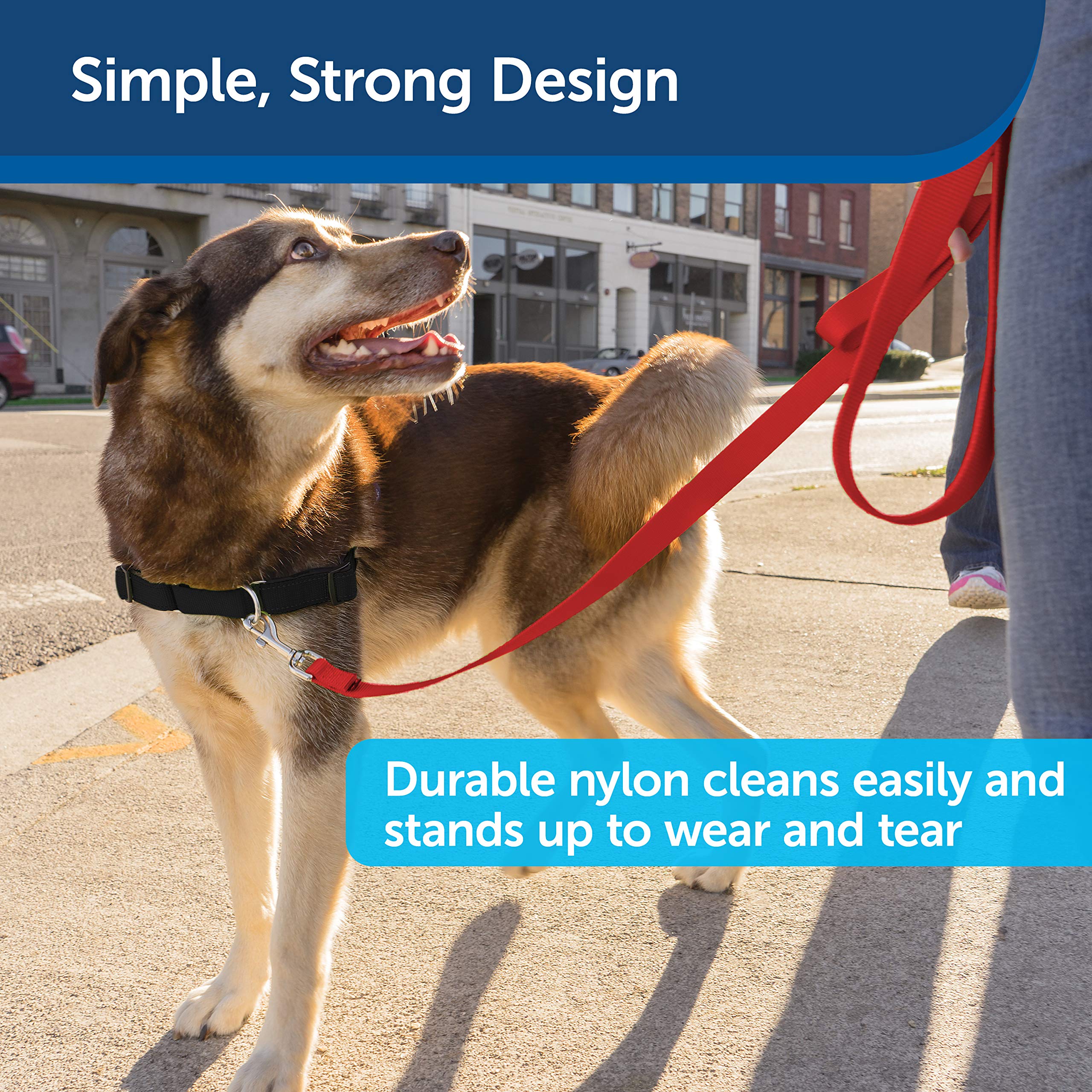 PetSafe Nylon Dog Leash β Strong, Durable, Traditional Style Leash with Easy to Use Bolt Snap β 3/4" x 6', Red