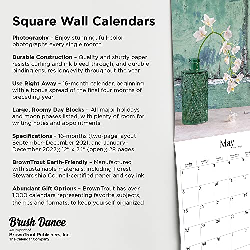 Seaside Solitude 2022 12 x 12 Inch Monthly Square Wall Calendar by Brush Dance, Nature Inspiration Seashore