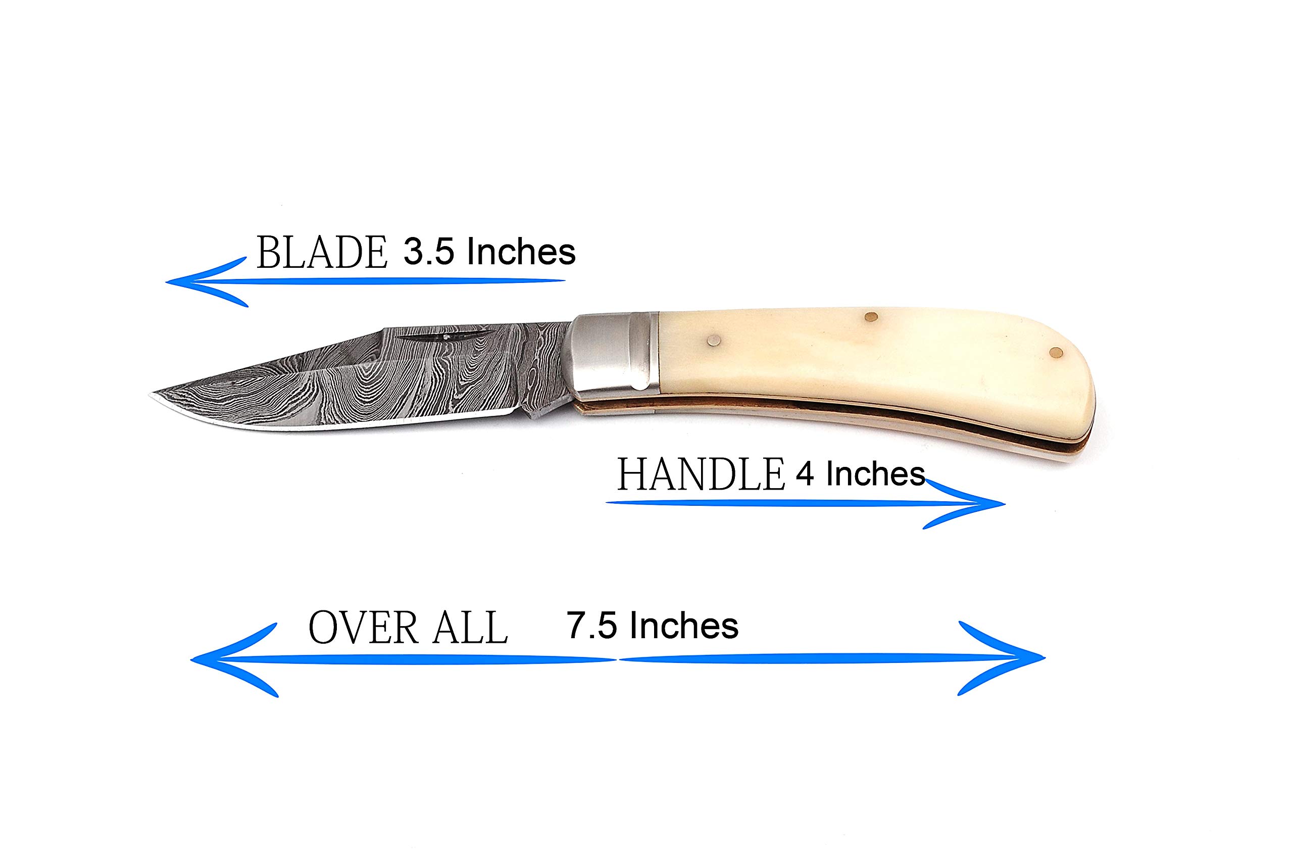 Zaildar Damascus Steel Pocket Knife - Handmade Folding Knife, EDC Knife, Hunting Knife, Camping Knife & Hiking Knife with Brass & Bone Handle & Leather Knife Sheath