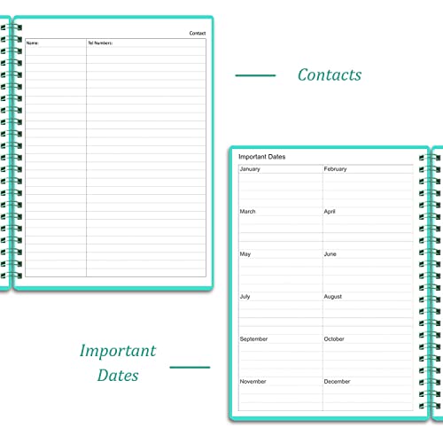 Undated Daily Planner,Undated Planner with Hourly Schedules, 150 Days To Do List Planner, A5 Daily Organizer Notebook to Increase Productivity, 5.8 × 8.2 Inch,Turquoise