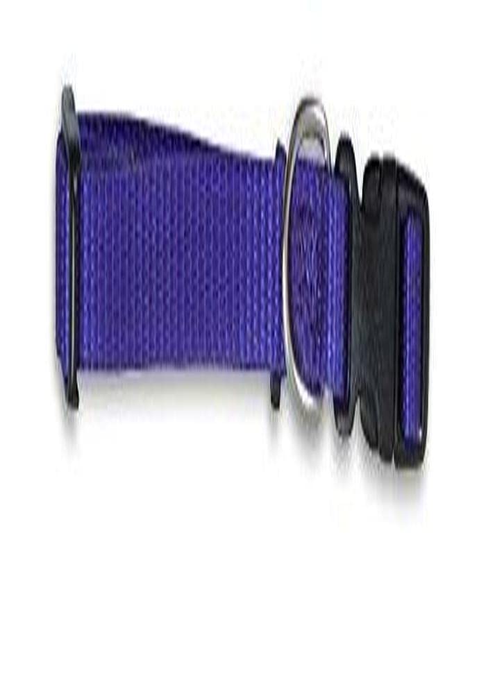 Petmate Adjustable Pet Collar, Purple, Adjusts from 10 Inches to 16 Inches Long