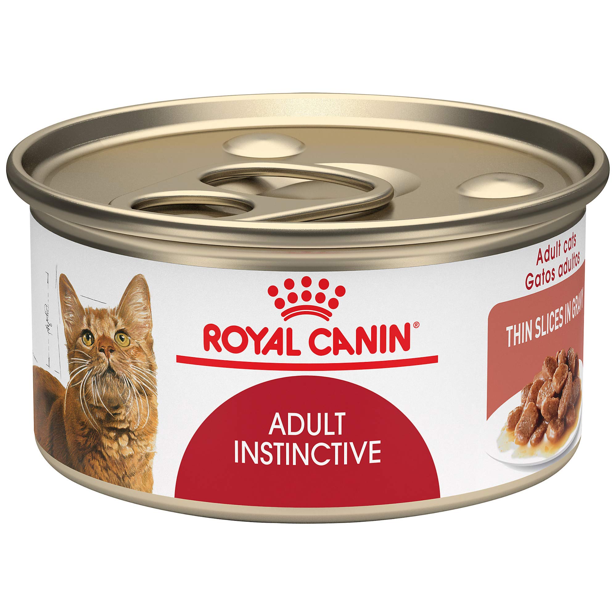 Royal Canin Digestive and Weight Management Cat Food Bundle (6 lb Bag + 24 Cans)
