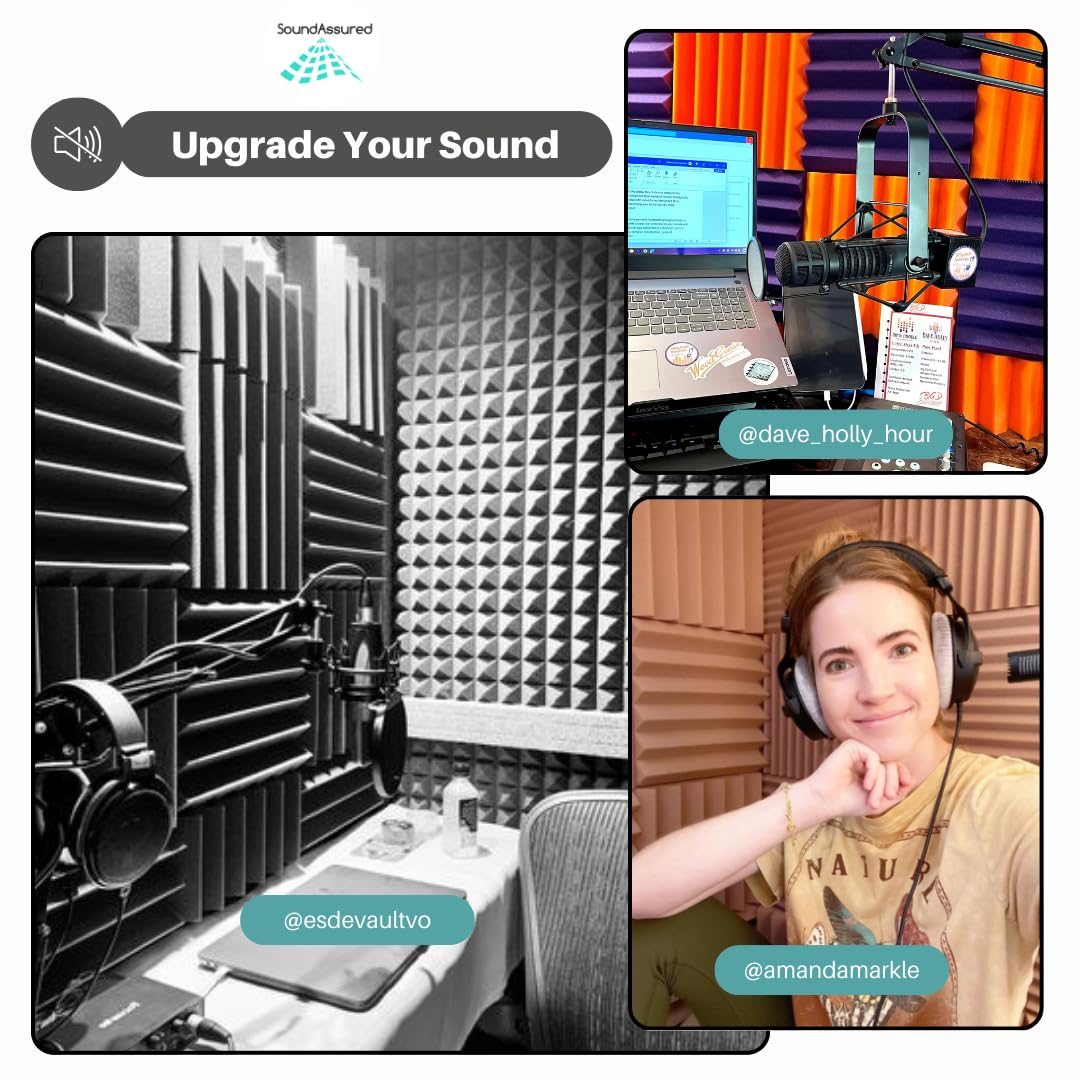 Professional Acoustic Foam Panels - Wedge Style 12x12x2β Tiles - 4 Pack - Studio Foam for Sound Dampening - Soundproofing Foam for Walls and Ceilings (Charcoal Color)