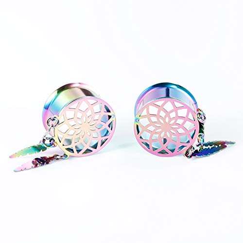 TBOSEN 2PCS Tunnels and Plugs For Ears Stainless Steel Stretcher Multiple Expander Tunnels Gauges 0g-1'' in 8mm-25mm