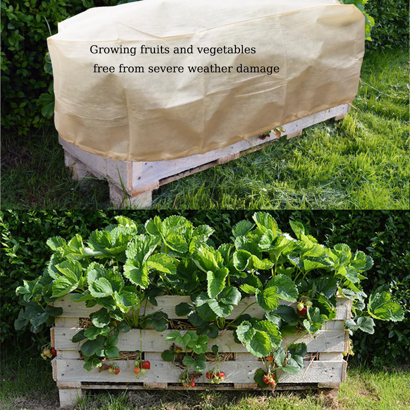 Rectangular Planter Box Frost Protection Cover to Protect Plants in Balcony, windowsill and Patio Planter Boxes from Frost, Wind, rain and Animals. Locks on Both Ends - 100 * 40 * 45 cm - 2 Pieces