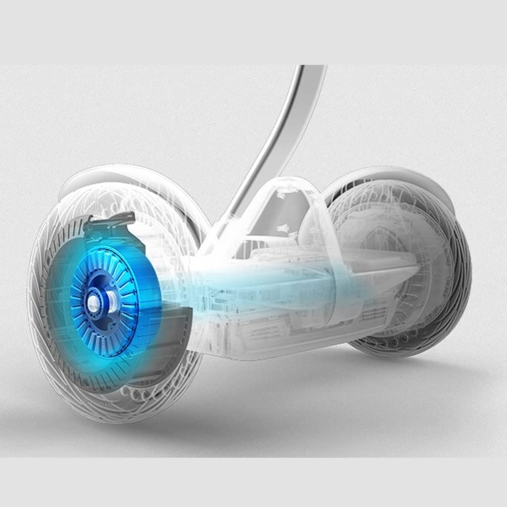 Segway Ninebot S Smart Self-Balancing Electric Scooter with LED light, Portable and Powerful, White