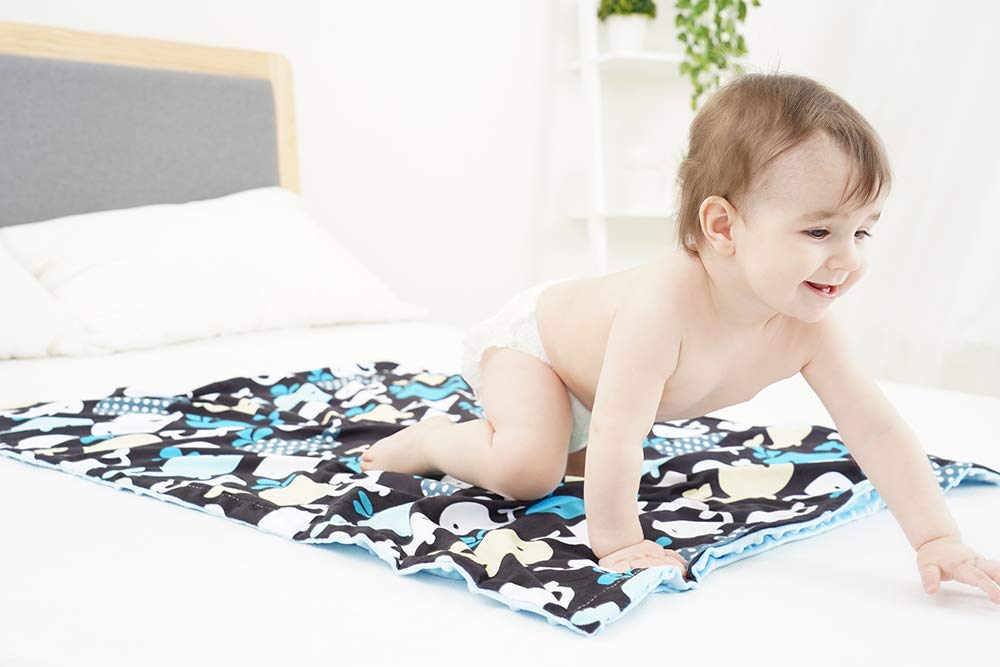 Soft Minky Baby Blanket - with Premium Dotted Backing Whale Printed - Unisex - for Stroller, Crib, Newborns, Receiving (30"x40")