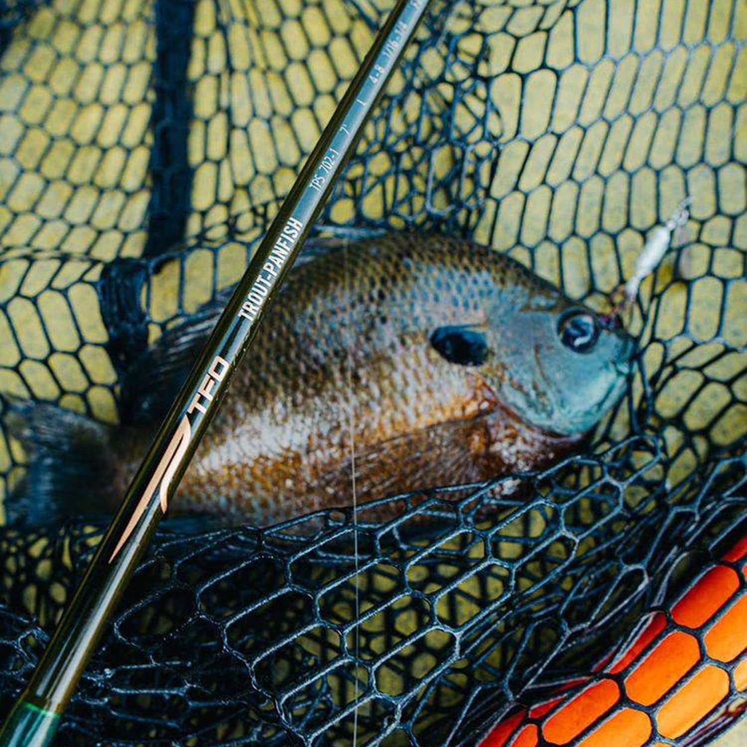 Temple Fork Outfitters (TFO) Trout-Panfish Lightweight Portable Fast Action Freshwater Fishing Rod 6'0'' UL 1pc.