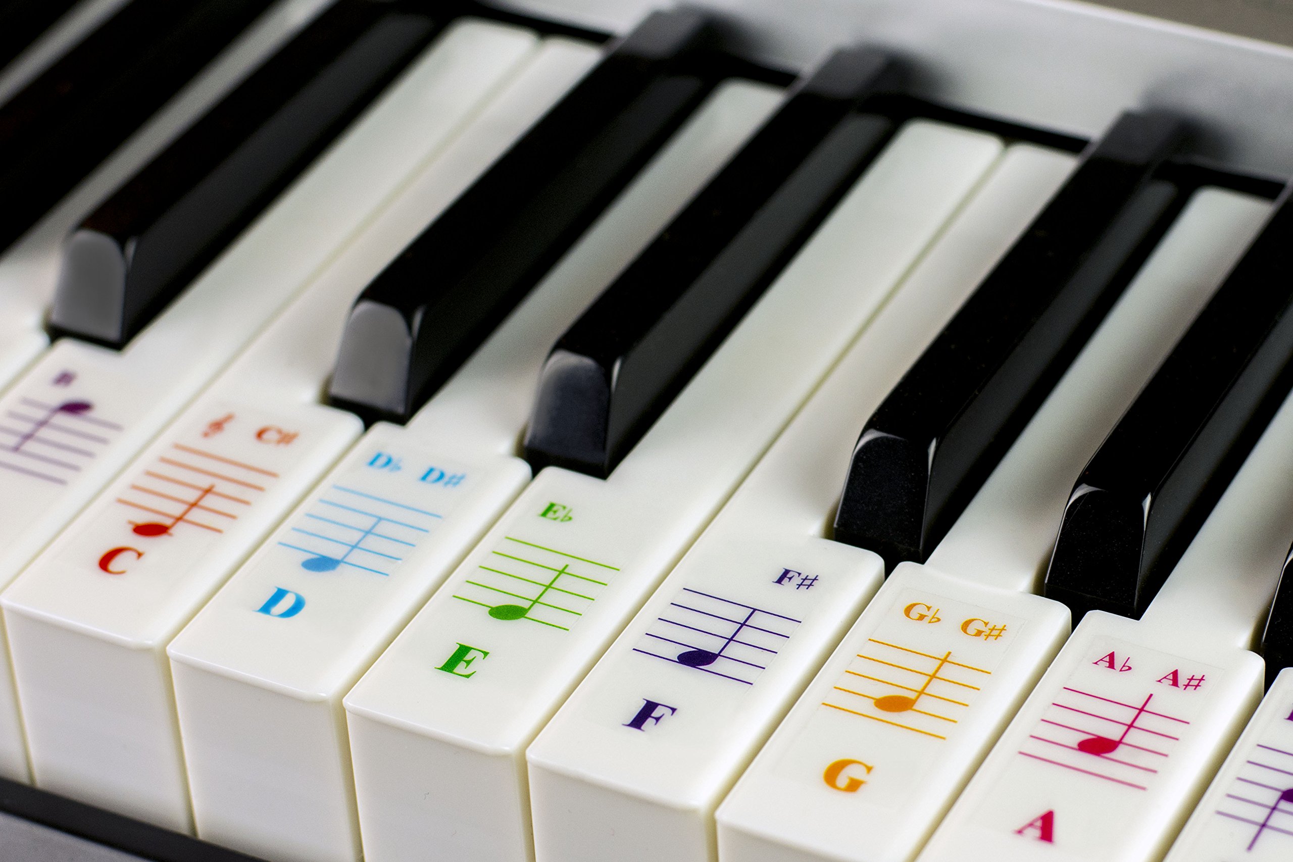 QMG Piano Keyboard Stickers for 88/76/61/54/49/37 Key Large Letter Piano Stickers for Learning, Removable Piano Keyboard Letters, Notes Label for Beginners and Kids, Made in USA