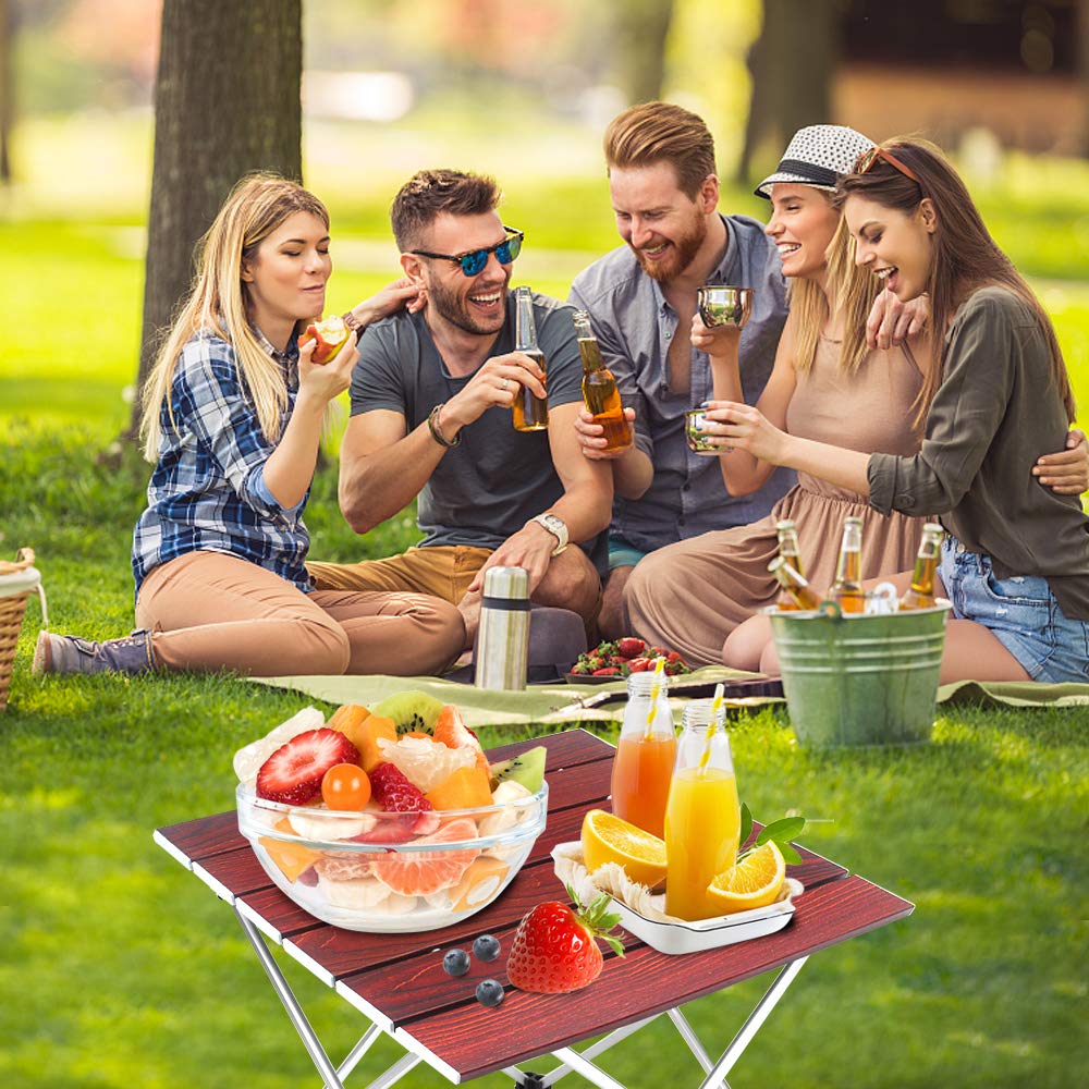 souyos Portable Folding Camping Table,Ultralight Aluminum Table Compact Camp Table with Carry Bag for Outdoor,Picnic,Festival,Beach,Cooking,Home Use (Mediuml(22'' x 6'' x 2.5''))