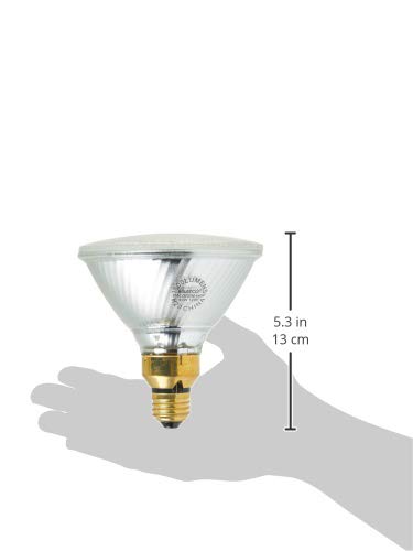 Satco S2260 80 Watt (120 Watt) 1600 Lumens PAR38 Flood 30 Degrees Clear Light Bulb, 2-Pack
