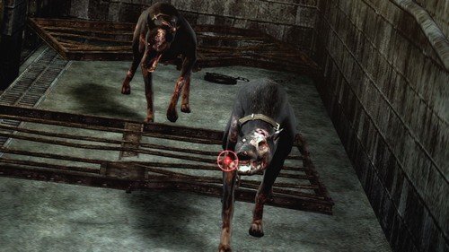 Resident Evil: The Darkside Chronicles