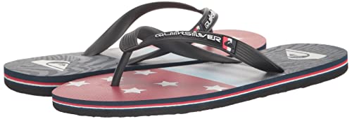 Quiksilver Men's Molokai 4th Sandal Flip-Flop, Blue 2, 10
