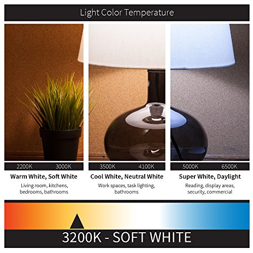 Sunlite R40 Incandescent Heat Lamp Bulb, 375 Watts, 125 Volts, Medium E26 Base, 2600K Soft White, Dimmable, Clear, 100 CRI, 3000 Rated Hours, Title-20 Compliant, 1 Pack