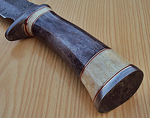 REG K-894 Handmade Damascus Steel 13.00 Inches Hunting Knife - Camel Bone Handle with Damascus Steel Guards