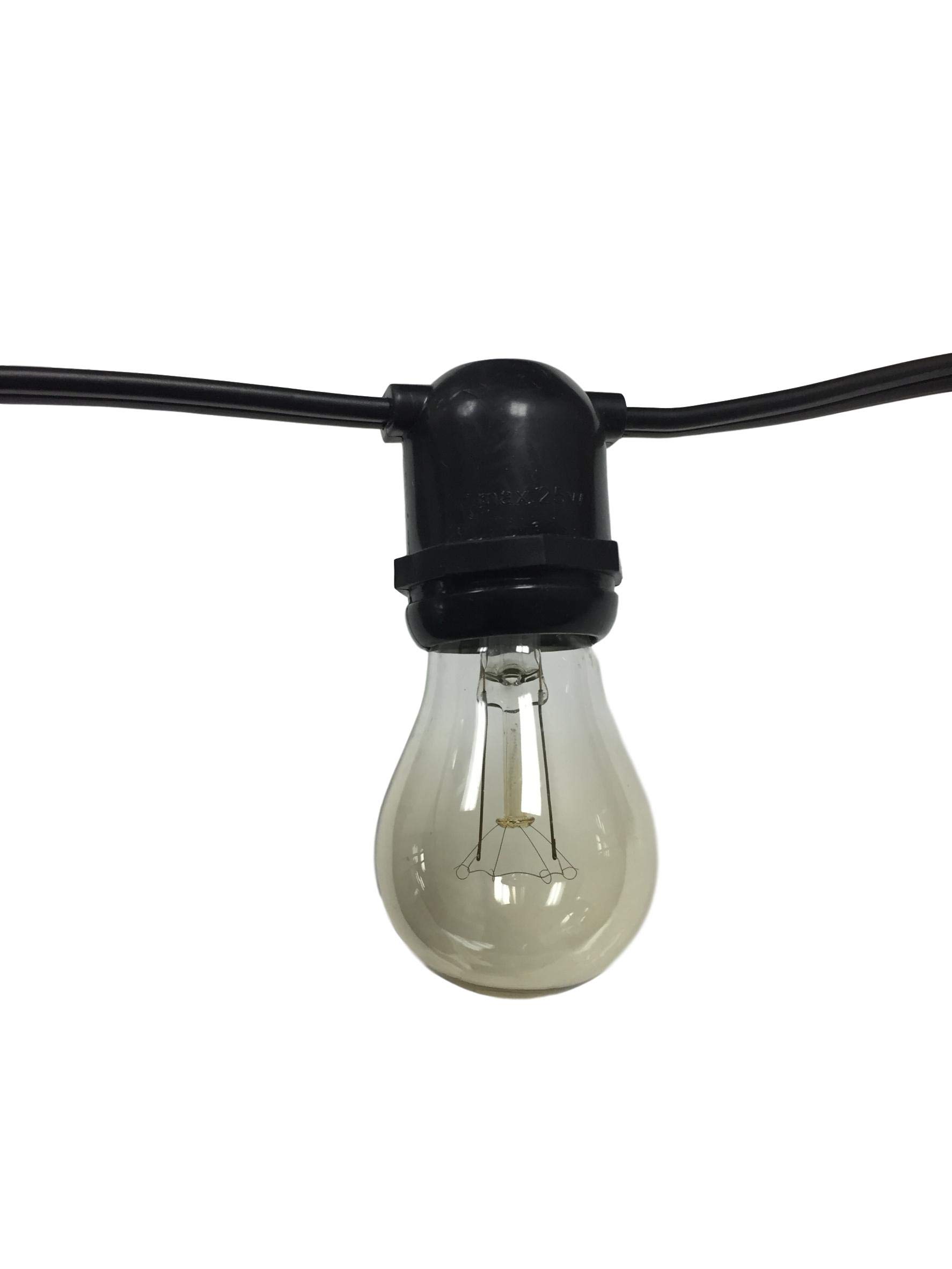 Sival A15 15 Watts Clear Outdoor Light Bulbs, 25-pack, recommended for commercial string lights