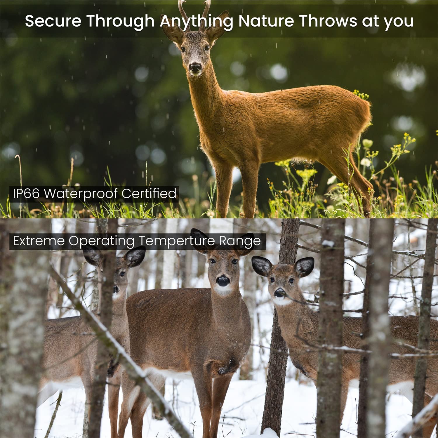 TACTACAM Reveal XB Cellular Trail Camera, No Glow - Verizon & AT&T