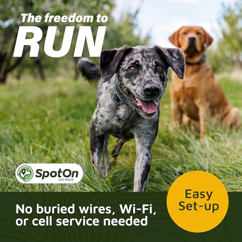 SpotOn GPS Dog Fence & Collar, Wireless, Precise GPS Location, Up to 20 Fences, No Acreage Limits, Waterproof, Assembled in USA (Small / Verizon)