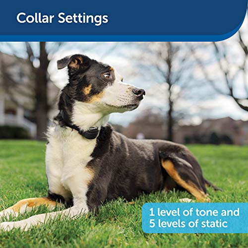 PETSAFE Stay and Play Wireless Dog Fence Kit