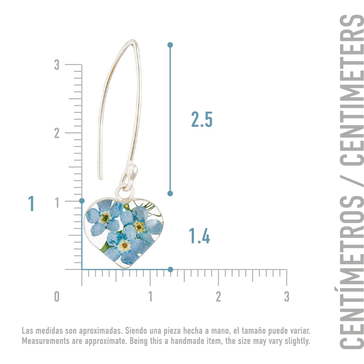 TAMI Silver Earrings with Real Blue Forgetmenot and 18, Heart Pressed Flower Jewelry