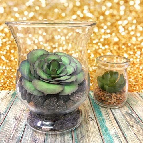 Sizzix Bigz Die Succulent by Sophie Guilar, Wood/Steel/Plastic, Multi-Colour, 17.3 x 14 x 1.9 cm