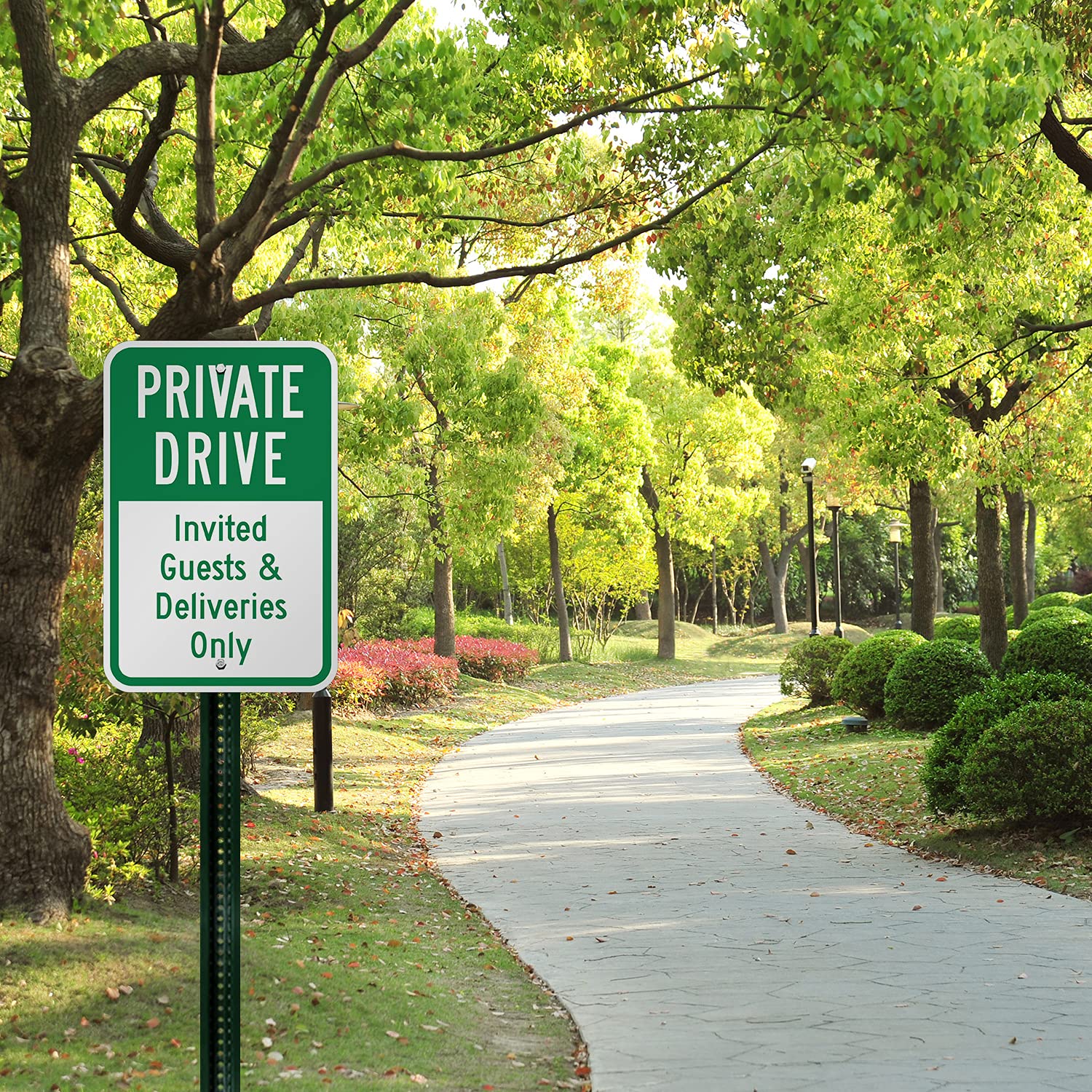 SmartSign “Private Drive, Add Your Custom Wording Here” Customizable Sign | 12" x 18" Aluminum