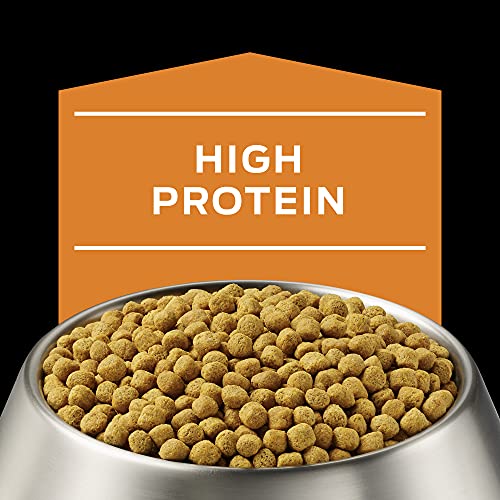 Purina Pro Plan Veterinary Diets OM Overweight Management Canine Formula Dry Dog Food - 18 lb. Bag